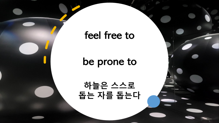 매일 영어 표현 feel free to / be prone to / 하늘은 스스로 돕는 자를 돕는다 영어로(ft. 쿠사마 야요이 ...