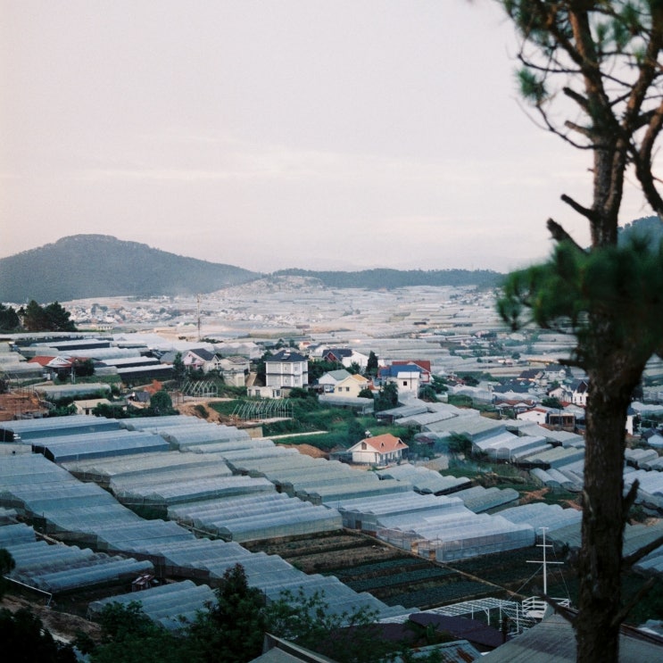 베트남 달랏 여행지추천 날씨정보 건기 우기 옷차림 일년내내 봄 네이버 블로그