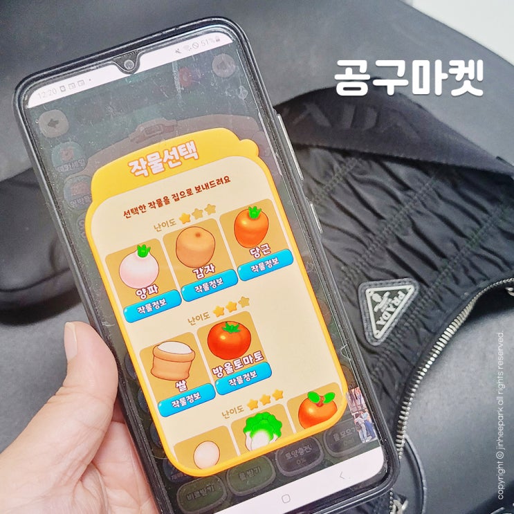 공구마켓 공팜 수확게임 감자키우기 진짜 감자받자 W 공구마켓 휴가지원금 네이버 블로그