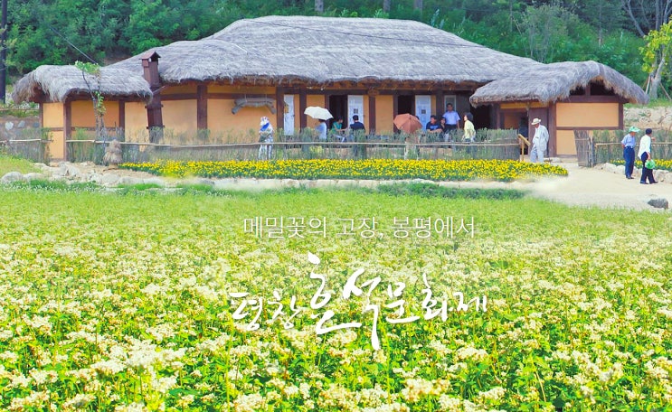 평창효석문화제 기본정보2023 강원도 평창 봉평 가볼만한 곳 이효석 메밀꽃 필 무렵의 고장 축제 네이버 블로그