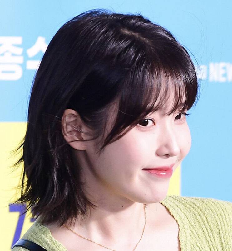아이유 여자 레이어드 단발펌 (feat: 반묶음 스타일) : 네이버 블로그
