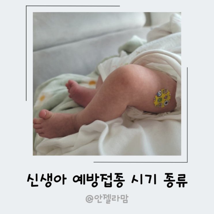 신생아 예방접종 시기 종류 주의할 점 네이버 블로그