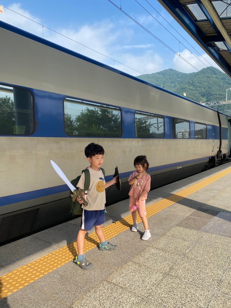 KTX 기차 매점 음료스낵자판기 위치 가격 결제방법 : 네이버 블로그