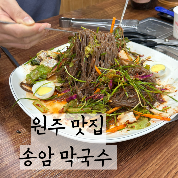 원주 막국수 맛집 송암막국수 오크밸리 뮤지엄산 근처 식당 네이버 블로그