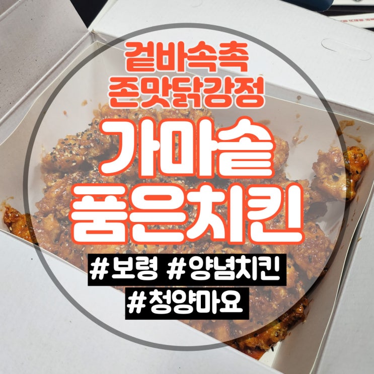 보령 겉바속촉 존맛치킨 가마솥품은치킨 대천해수욕장 맛집 내돈내산 네이버 블로그