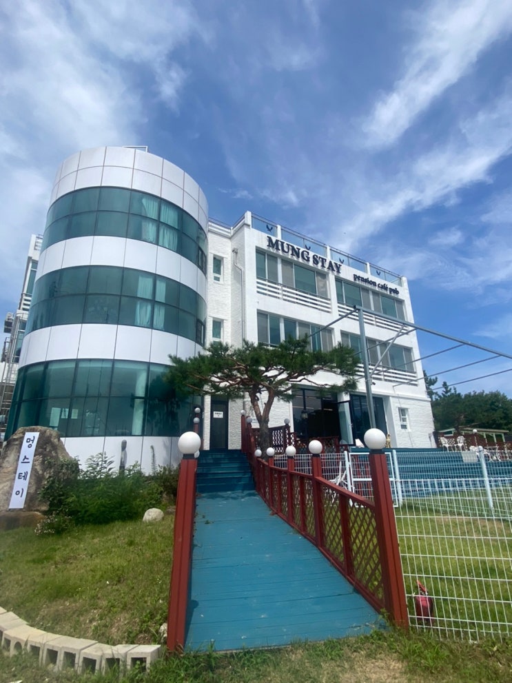 강원도 고성 백도해수욕장 바로 앞 반려견과 함께 갈 수 있는 멍스테이 고성 203호 투숙 솔직후기 네이버 블로그
