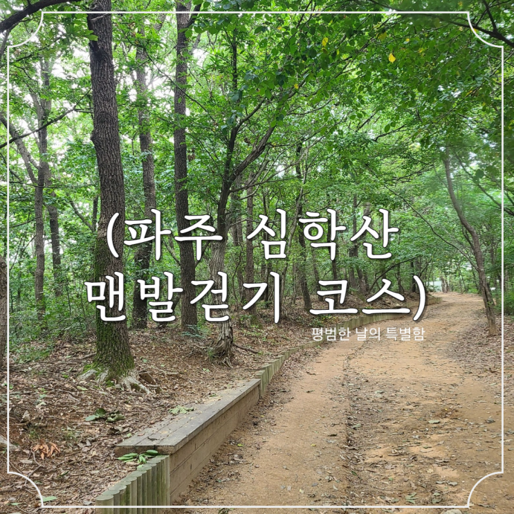 파주 심학산 둘레길ft 맨발걷기 코스어싱코스 네이버 블로그