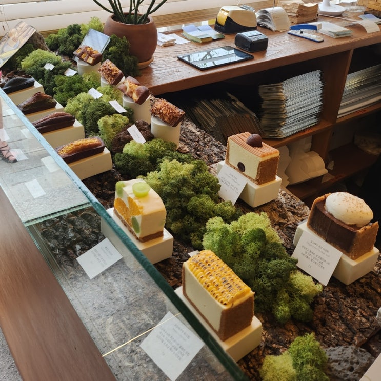 강원도 강릉시 강릉 핫플 초당옥수수 디저트가 맛있는 오프더월포장 섭취 가능한 곳 공개 네이버 블로그