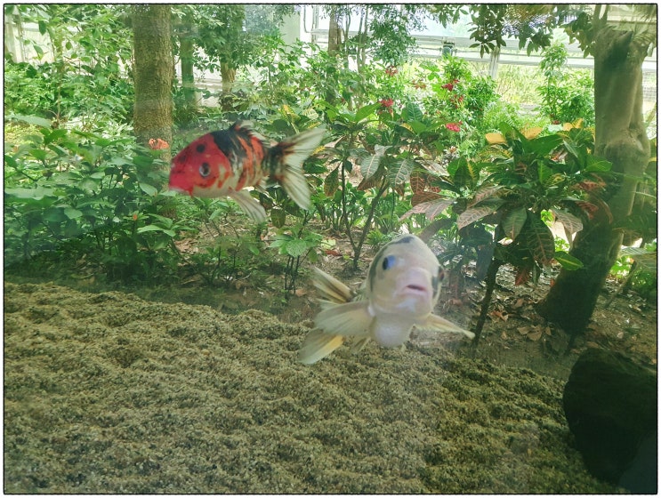 9월가정통신문둔촌고영어동북고영어한산중영어신명중영어둔촌중영어내신 네이버 블로그