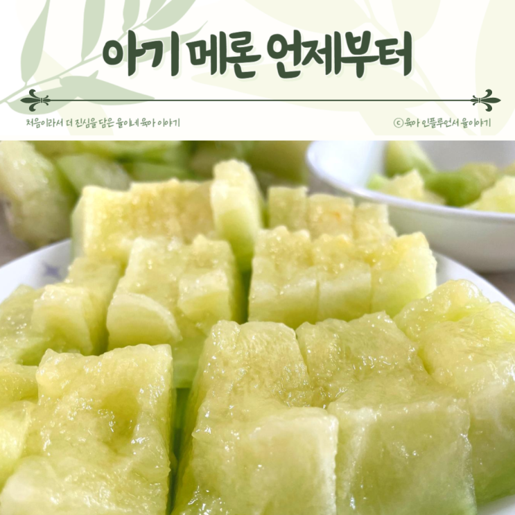 아기 과일 메론 언제부터 시기 효능 자르는 방법까지 알아봐요 네이버 블로그