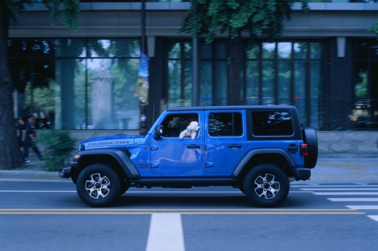 [Nikon] 니콘 필름카메라 FM2 + 슬라이드필름 코닥 E100D : 네이버 블로그