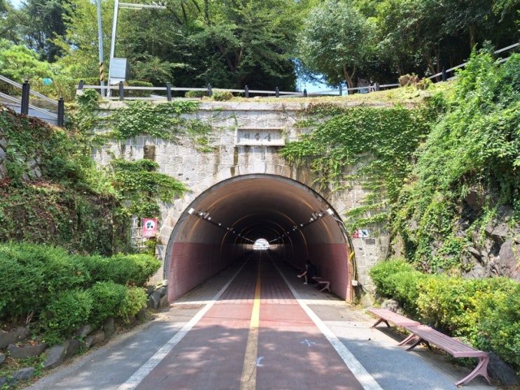 군산 가볼만한곳 은파호수공원 경암동철길마을 진포해양공원 군산근대역사박물관 해망굴 초원사진관 이성당 네이버 블로그