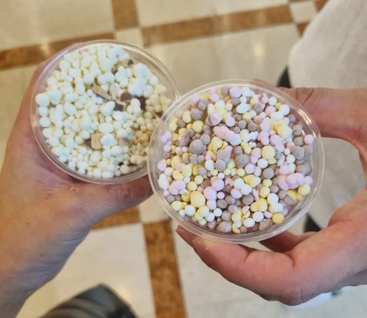 잠실:) 롯데월드어드벤처 구슬아이스크림 포도도 pododo / 베트남커피 콩카페 : 네이버 블로그