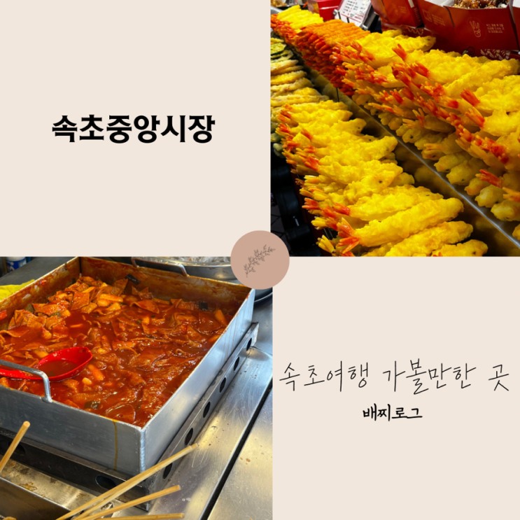 속초 여행 가볼만한곳 속초중앙시장 속초관광수산시장 먹거리 Top4 주차장 이용안내 꿀팁조광유료주차장 네이버 블로그