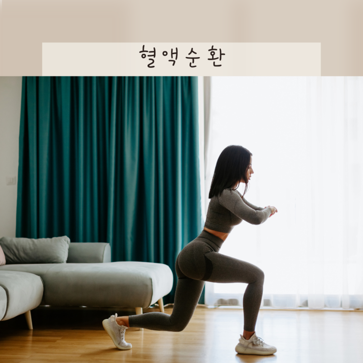 혈액순환 안될때 증상 잘되는법 손 다리 발 종아리 하체 혈액순환에 좋은 음식 차 정리해볼까 네이버 블로그