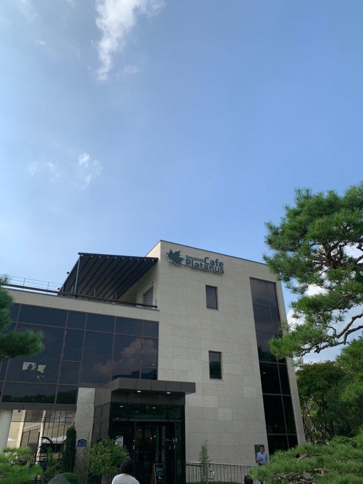 구례 대형 카페 / 반야원 플라타너스 / 화엄사 근처 카페 : 네이버 블로그