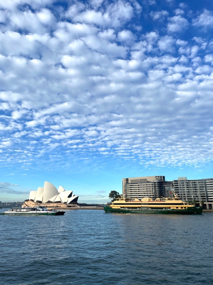 Hello~ Sydney! : 네이버 블로그