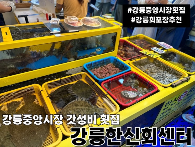 강릉중앙시장회센터 ‘강릉한신회센터 F 강릉중앙시장회포장 가성비최고 물회맛집 네이버 블로그