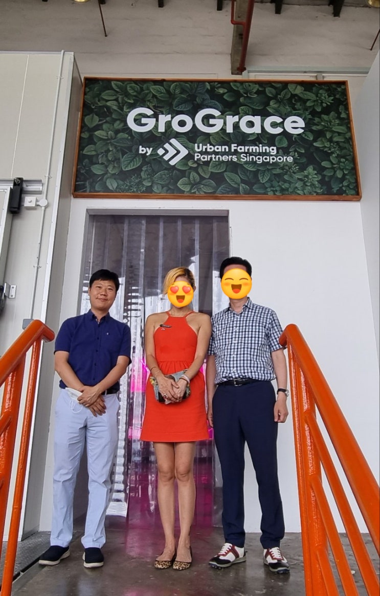 도시국가 싱가포르의 도시 농업과 스마트팜 GroGrace 방문 : 네이버 블로그