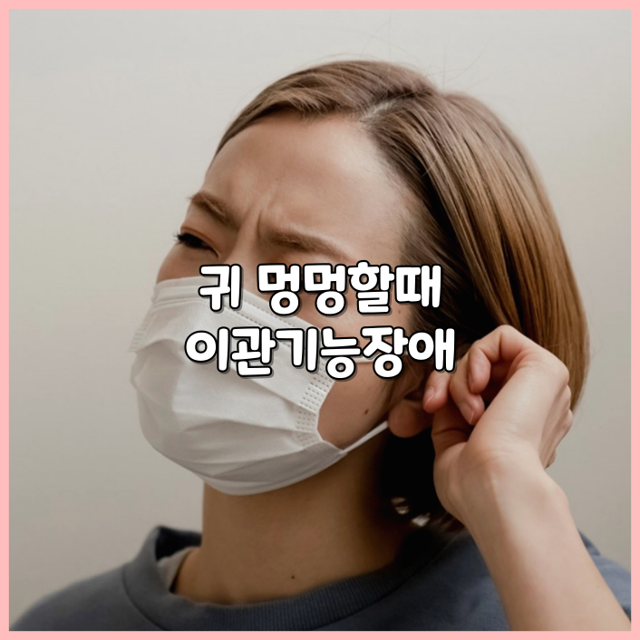 귀 멍멍할때 이관기능장애 생각 해봐야 하는 이유 네이버 블로그