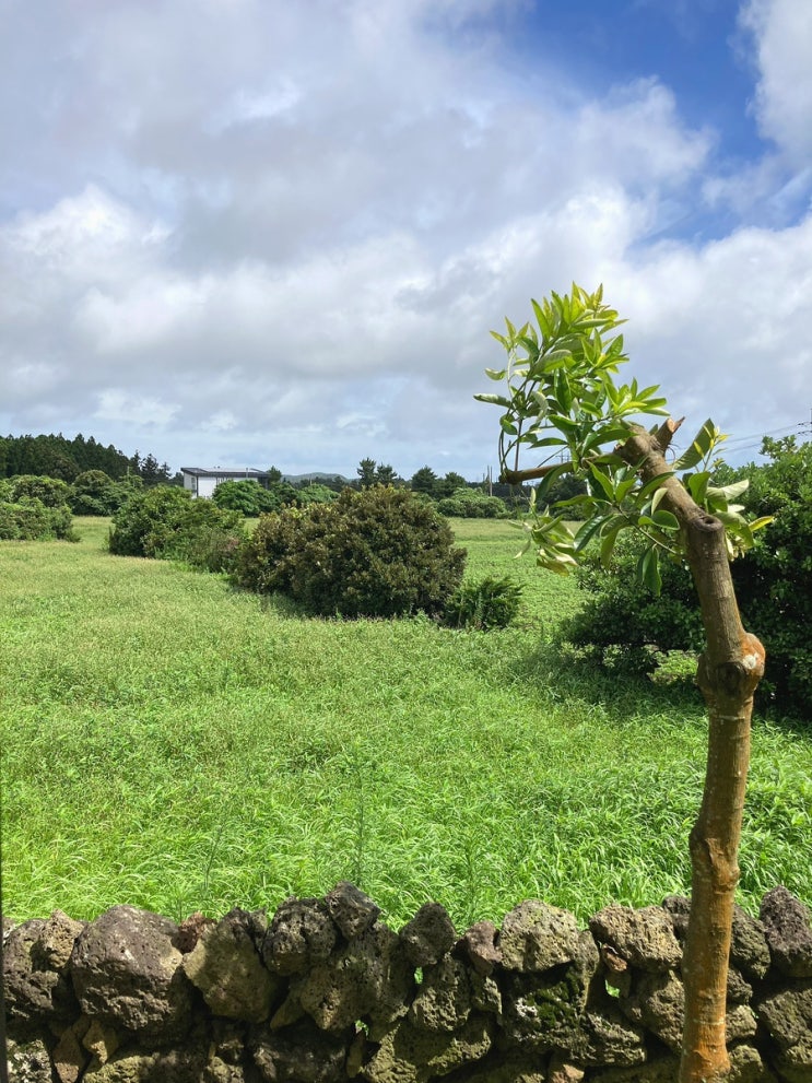 YBM 광주 cbt 센터 토익 스피킹 응시 후기 : 네이버 블로그