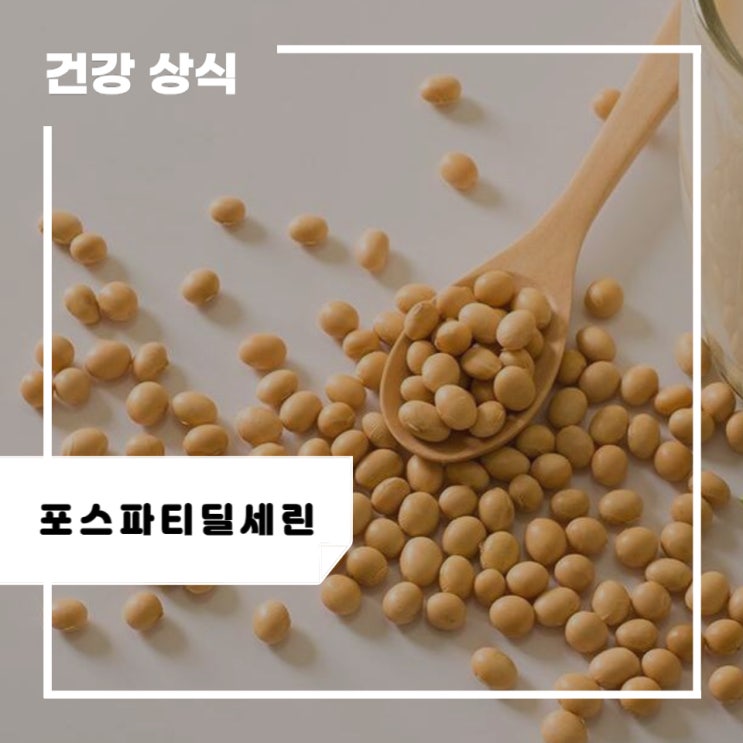 포스파티딜세린 효능 및 부작용 뇌영양제 효과 네이버 블로그