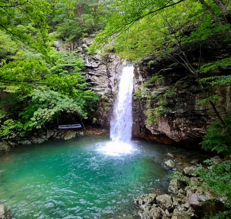 울산 울주 가볼만한곳 신불산 자연휴양림 주차 캠핑 야영장 상단 하단 숲속의집 배내골 계곡 데크 억새평원 울주군 캠핑장 네이버 블로그