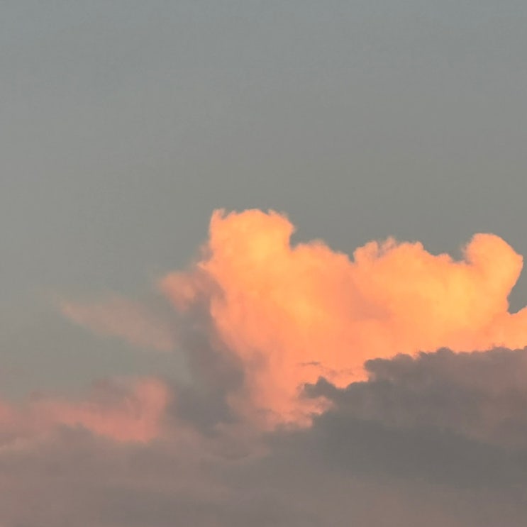 일본🇯🇵도쿄여행 Day 0 : 여행준비 : 네이버 블로그