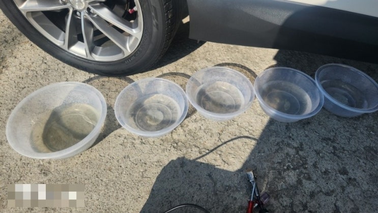 수원스팀세차 수원에바크리닝 자동차에어컨냄새 에어컨악취제거 에바크리닝 디테일링 화서동 서둔동 호매실동 에바크리닝 네이버 블로그
