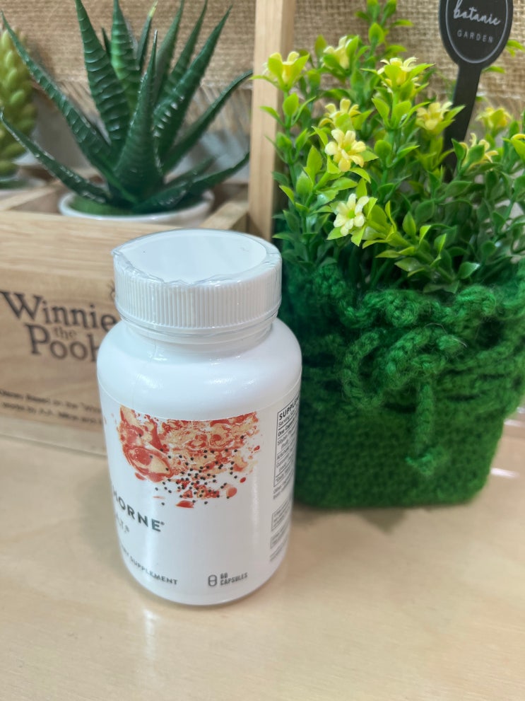 피곤한 나를 위한 영양제 쏜리서치 thorne sat : 네이버 블로그