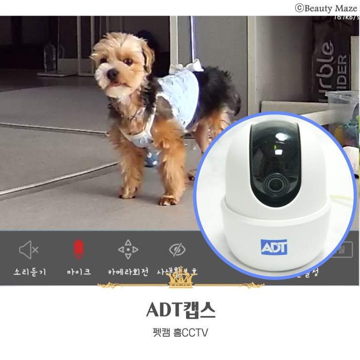 ADT캡스 홈 이너가드 펫캠 반려견 홈CCTV 홈캠 : 네이버 블로그