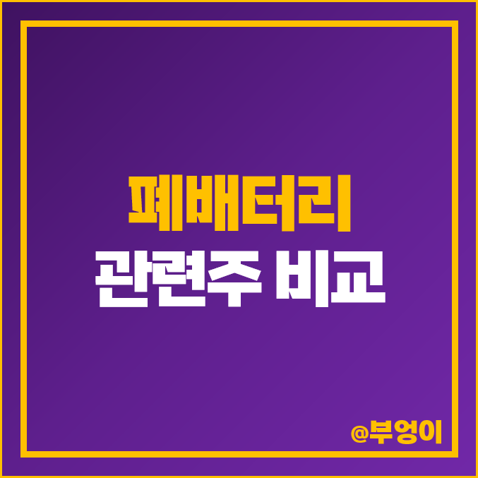 국내 폐배터리 관련주 종류 원익피앤이 파워로직스 주식 주가 네이버 블로그