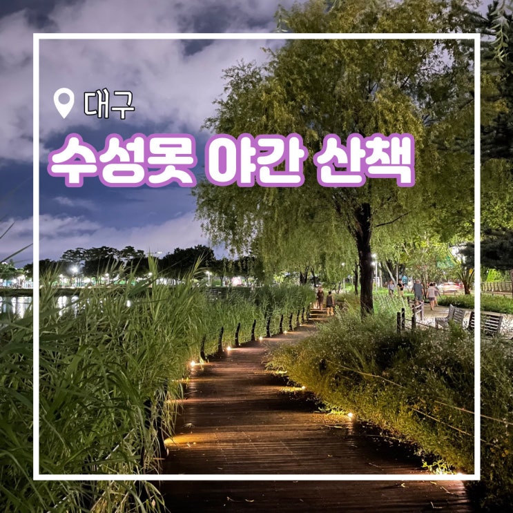 대구 수성못 야간 산책 데이트코스 야경 명소 네이버 블로그
