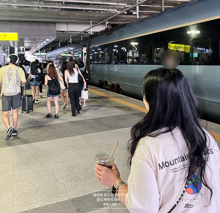 KTX 특실 이음 우등 타고 서울에서 강릉 일반실이랑 차이점 feat 도시락 : 네이버 블로그