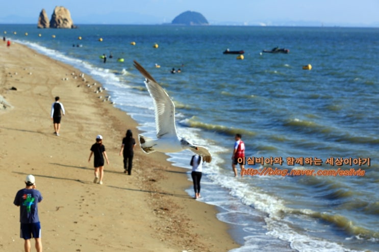 바다 추천 서해 섬 여행 제부도 가볼만한곳 매바위 제부도 해수욕장 서해랑 케이블카 네이버 블로그