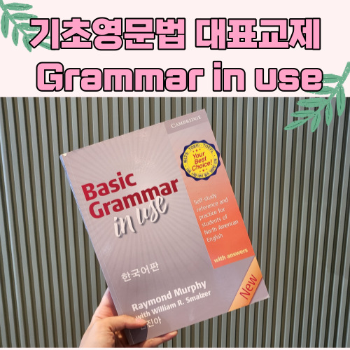 기초영어문법 대표 교제 Basic Grammar In Use 네이버 블로그