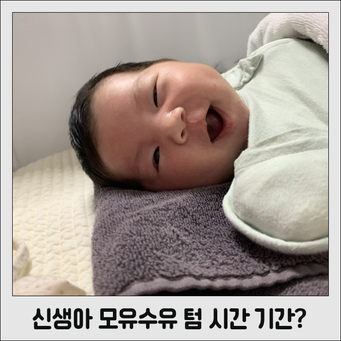 신생아 모유수유 텀 시간 기간 수유일지 앱으로 수유 텀 늘리는 방법 네이버 블로그