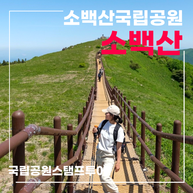 단양 소백산 국립공원 등산코스 철쭉 축제 정보 어의곡~비로봉~국망봉~늦은맥이재~어의곡 네이버 블로그