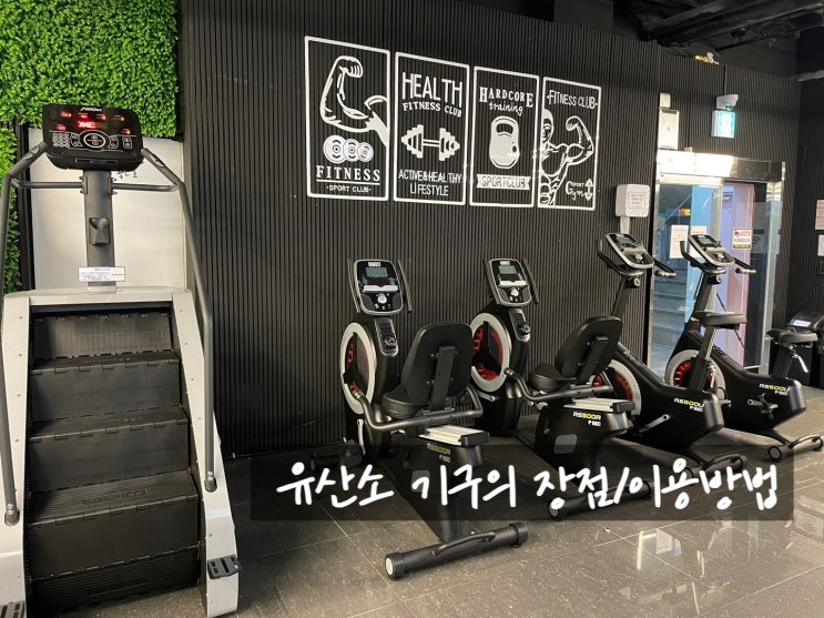 등촌동헬스장강서구헬스장 바디 프로필벌크업다이어트재활운동 전문 피트니스 클라쓰 효과적인 유산소 운동방법 네이버 블로그
