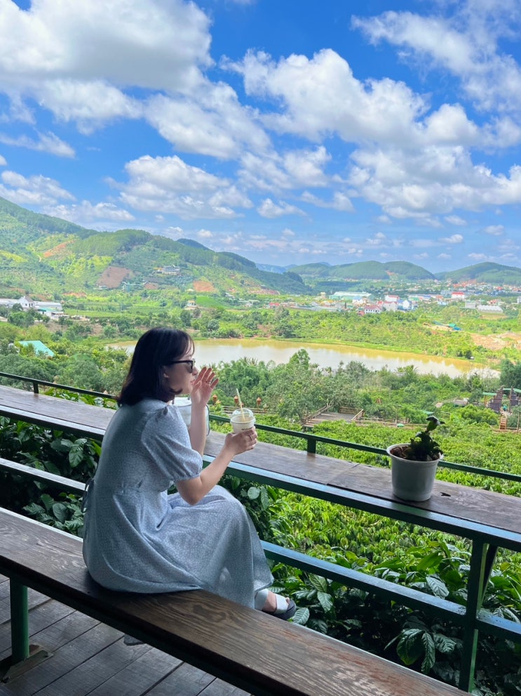 달랏 택시투어(1) : 메린커피농장 Mê Linh Coffee Garden 광활한 뷰에 족제비 커피 즐기기 : 네이버 블로그