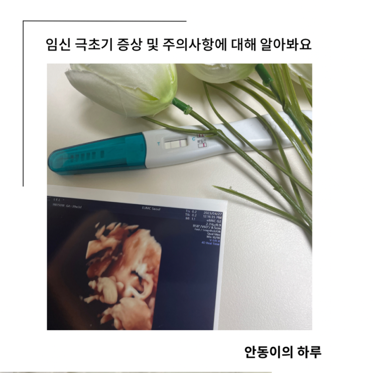 임신극초기증상 아랫배 통증 임신 초기 주의사항 네이버 블로그