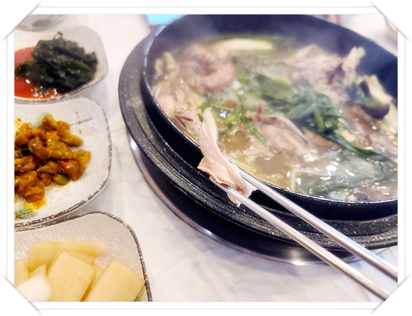 황제 능이버섯 백숙 여주 맛집 백숙 먹고 몸이 좋아졌습니다 네이버 블로그