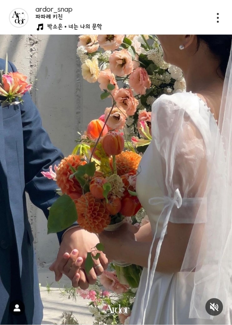 본식 아이폰 스냅 추천 ardor snap,아더스냅 (계약후기) + 짝꿍찾아요♡ : 네이버 블로그