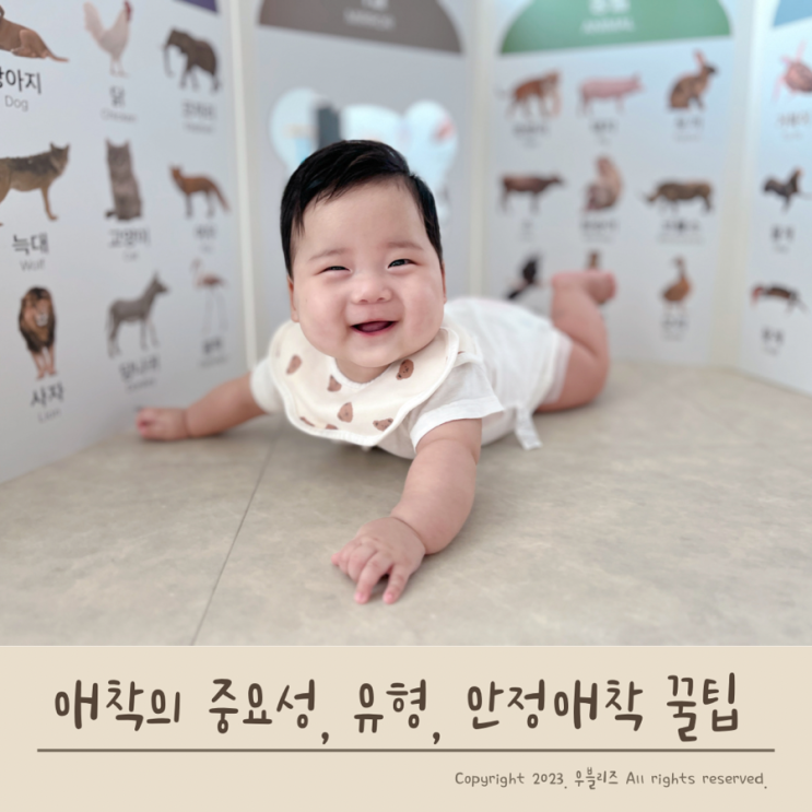 애착 형성시기 중요성 애착유형 안정애착 형성방법 네이버 블로그