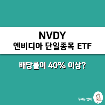 NVDY 엔비디아 월배당 ETF, 고배당 상품 : 네이버 블로그