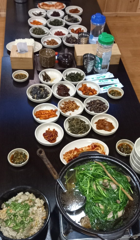 홍천 비발디파크 근처 맛집 오션월드 식당 토종닭 전문집 가보니 네이버 블로그