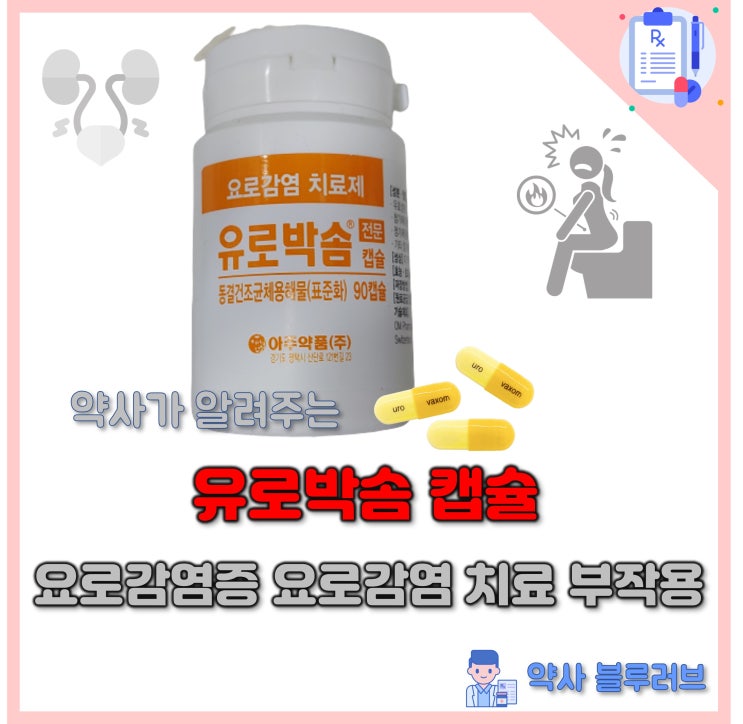유로박솜 캡슐 요로감염증 요로감염 치료 복용법 부작용 네이버 블로그