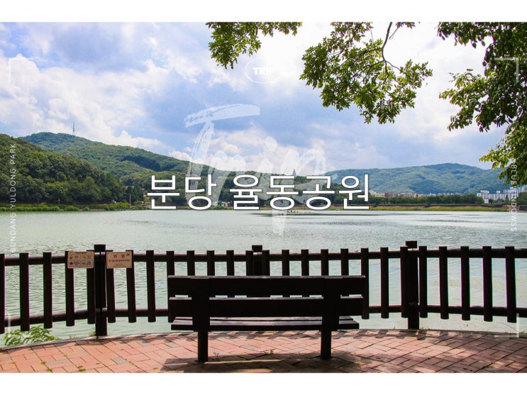 분당 율동공원 성남 데이트 가볼만한곳 책테마파크 주차팁 네이버 블로그