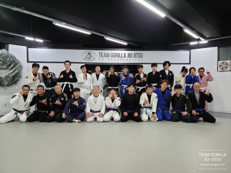 팀 고릴라주짓수 본관 용인수지 주짓수전문체육관 건강하게 운동할 수 있는 팀고릴라 체육관으로 오세요~ 네이버 블로그