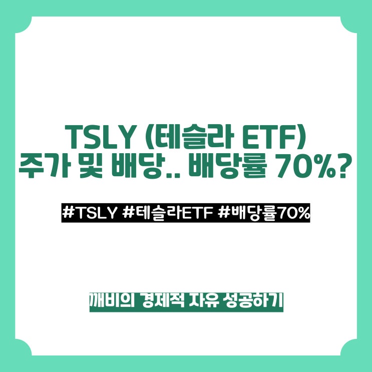TSLY 주가 및 배당 - 테슬라 커버드콜 ETF 배당률 70% : 네이버 블로그